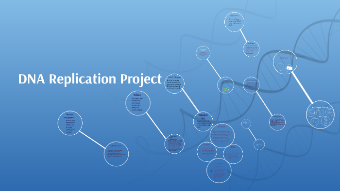 DNA Replication Project by Alex Whitehurst Leigh on Prezi