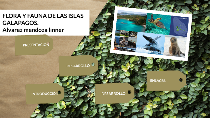 FLORA Y FAUNA DE LAS ISLAS GALAPAGOS by LINNER ALVAREZ MENDOZA on Prezi