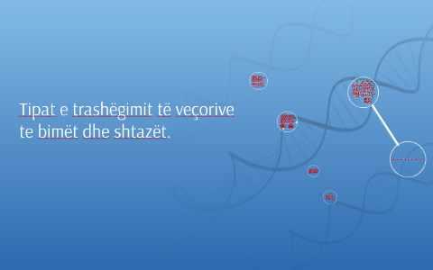 Tipat e trashëgimit të veçorive te bimët dhe shtazët. by leonora ...