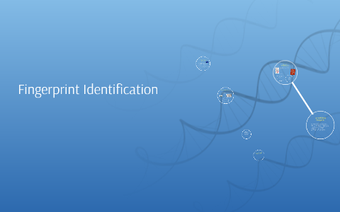 Fingerprint Identification by jacob noles on Prezi