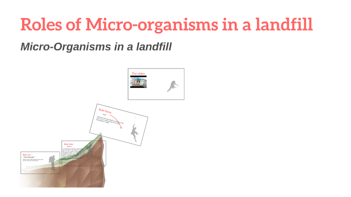 Roles of Micro-organisms in a landfill by Ethan Kane on Prezi