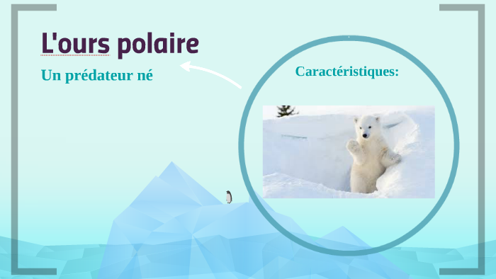 l'ours polaire, CC1 by Cassidy ALBICY on Prezi