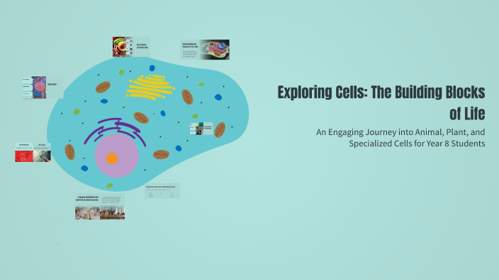 Exploring Cells: The Building Blocks of Life by katelyn parkinson on Prezi