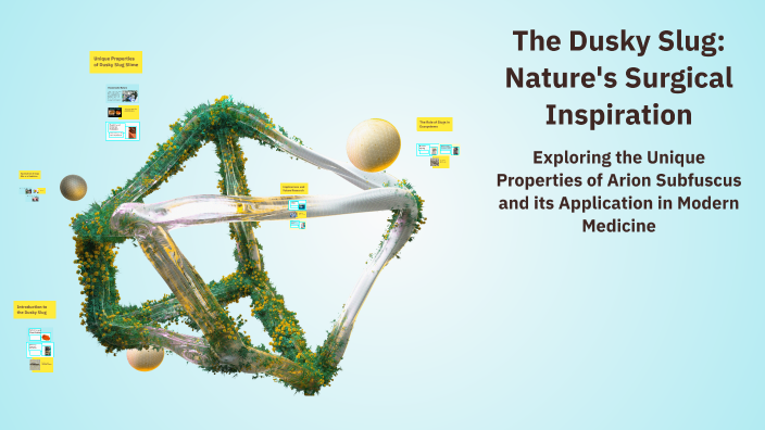The Dusky Slug: Nature's Surgical Inspiration by Sydney Fogler on Prezi