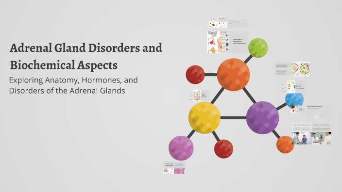 Adrenal Gland Disorders and Biochemical Aspects by Faisal moustafa on Prezi