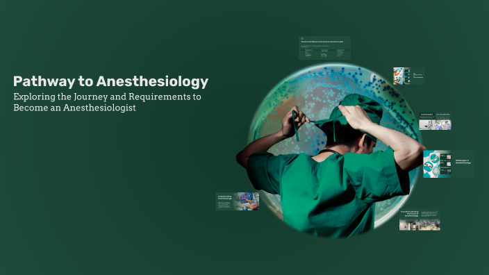 Pathway to Anesthesiology by Matthew Medina on Prezi