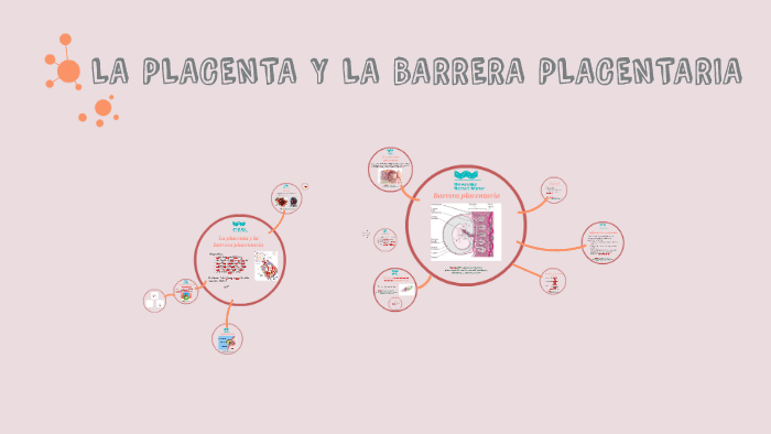 LA PLACENTA Y LA BARRERA PLACENTARIA by Alessandra Díaz on Prezi