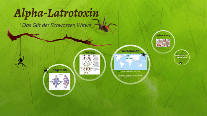 Alpha-Latrotoxin by Anna Kutter on Prezi