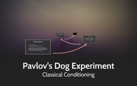 Pavlov's Dog Experiment by LikeA Bos on Prezi