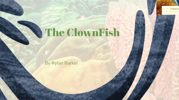 The Fascinating World of Fish by Rylan Barker on Prezi