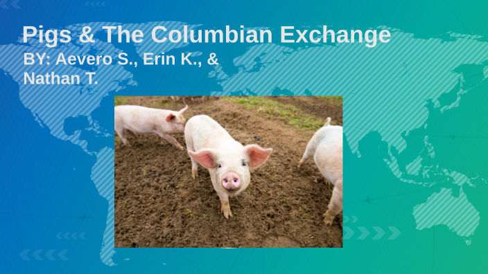Columbian Exchange Pigs by Nathan Tsegahbizu on Prezi