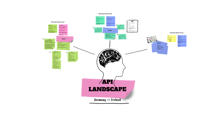 API Landscape Analysis by Colm Scully on Prezi