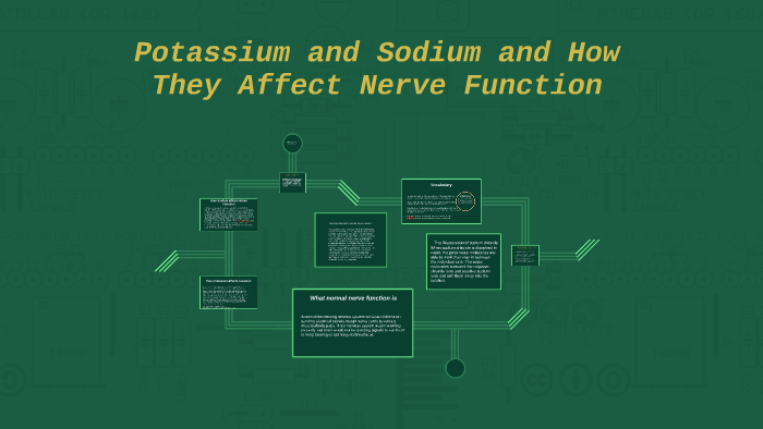Potassium and Sodium and How They Affect Nerve Function by Tyler Peat ...