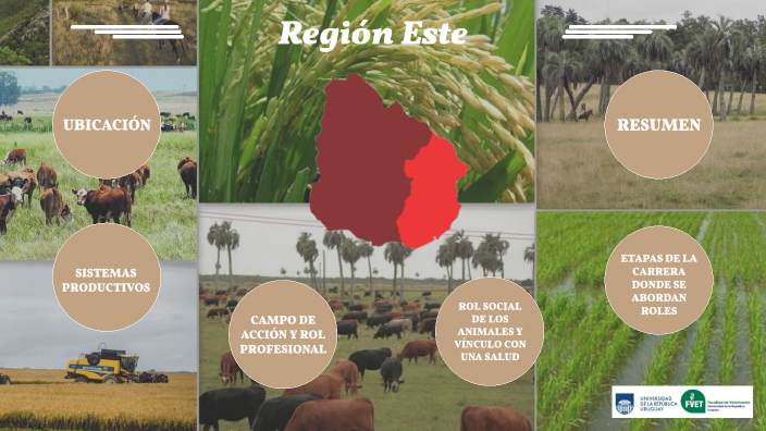 Region este by Belen Romero on Prezi