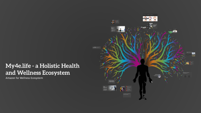 Pitching a Holistic Health and Wellness Ecosystem Startup by Vaibhav ...