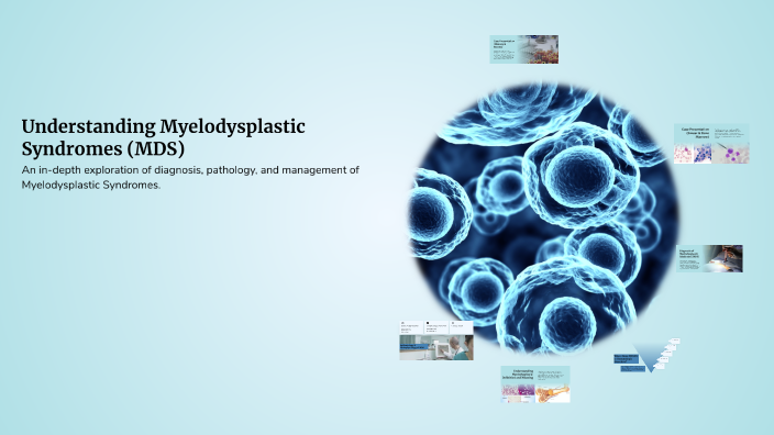 Understanding Myelodysplastic Syndromes (MDS) by Mega on Prezi