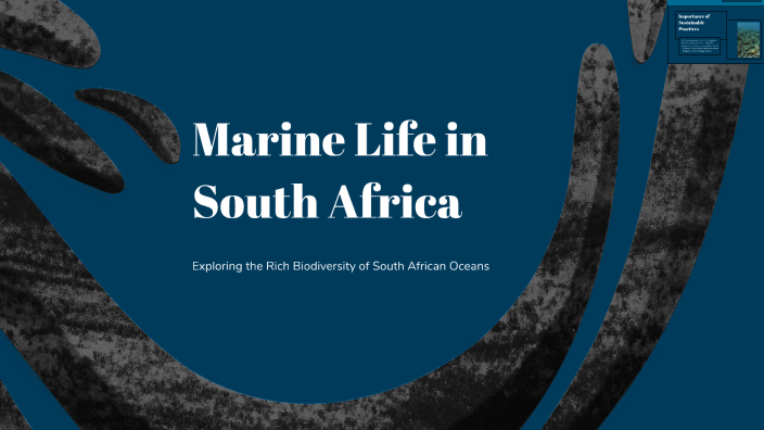 Marine Life in South Africa by Jude Gardiner on Prezi