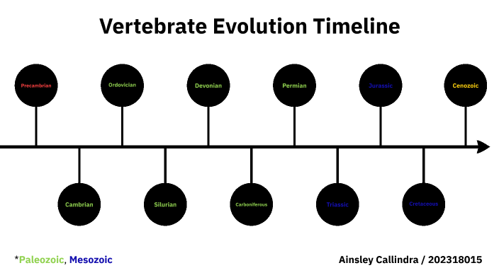 Vertebrate Evolution by Ainsley Callindra on Prezi
