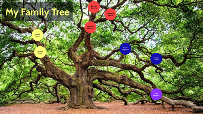 My Family Tree by Alessandro Amati on Prezi