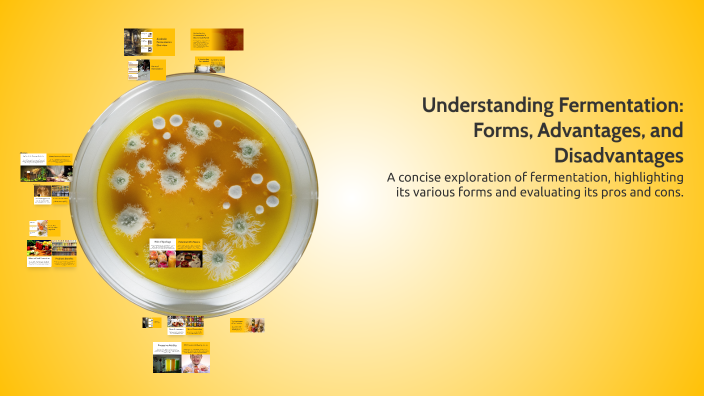 Understanding Fermentation: Forms, Advantages, and Disadvantages by ...