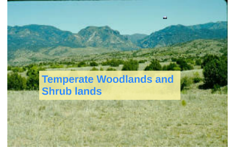 Temperate woodland and shrubland by Austin Snelling on Prezi