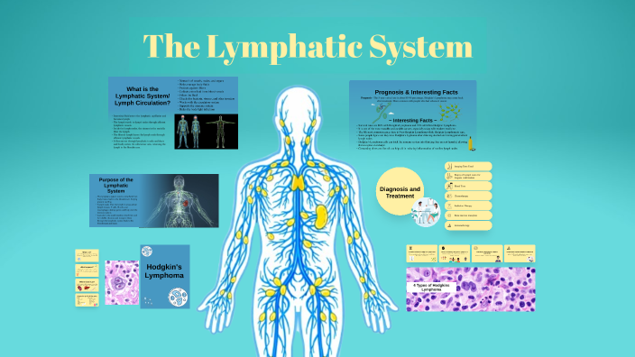 Lymphatic System Project by Raneem Sadeh on Prezi