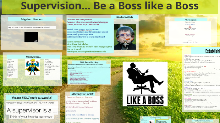 Peer to Peer Supervision by Dana Sample on Prezi