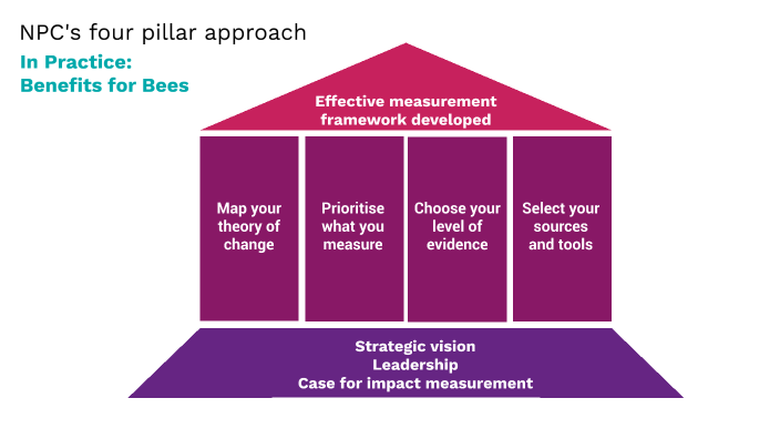 Four pillar approach in practice: Benefits for Bees by National ...