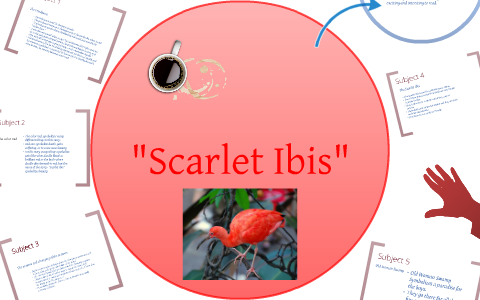 Scarlet Ibis Symbols by Annika Warfield on Prezi