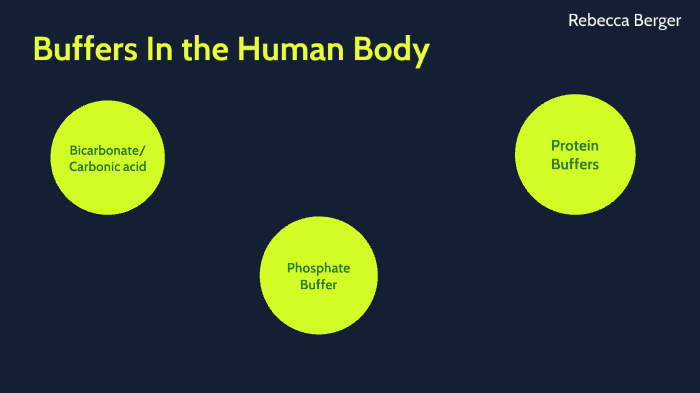 Buffers In the Human Body by Rebecca Berger on Prezi