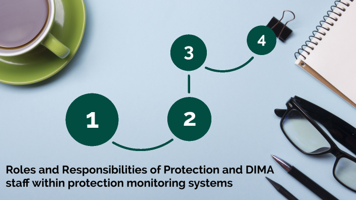 Roles and responsibilities of protection and IM staff within protection ...