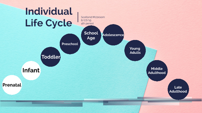 Individual Life Cycle by Scotland McBroom on Prezi