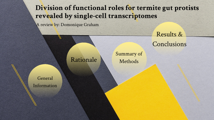 Gen Bio 2 Presentation by ireallylikeham on Prezi