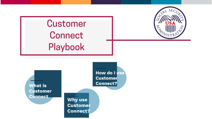 Customer Connect Playbook - Client Viewing by Courtney Rose on Prezi