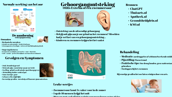 Gehoorgangontsteking by Ward Verhaegen on Prezi