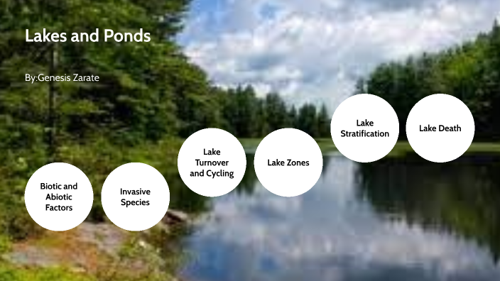 Genesis Z Lakes and Ponds by Genesis Zarate-beam on Prezi