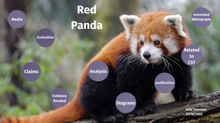 VoiceThread: Red Panda by Jada Freeman on Prezi