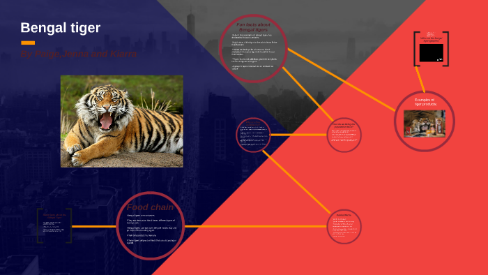 Basic facts about the Bengal Tiger by paith monteebot on Prezi