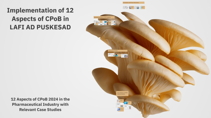 Implementation of 12 Aspects of CPoB in LAFI AD PUSKESAD by dani ismail ...