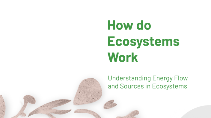 How do Ecosystems Work by Eliezer Rivera on Prezi