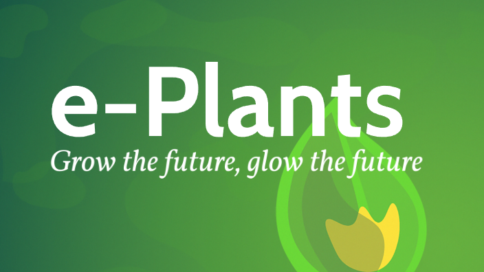 Prezi Essentials Part II by Eric Ruppel on Prezi