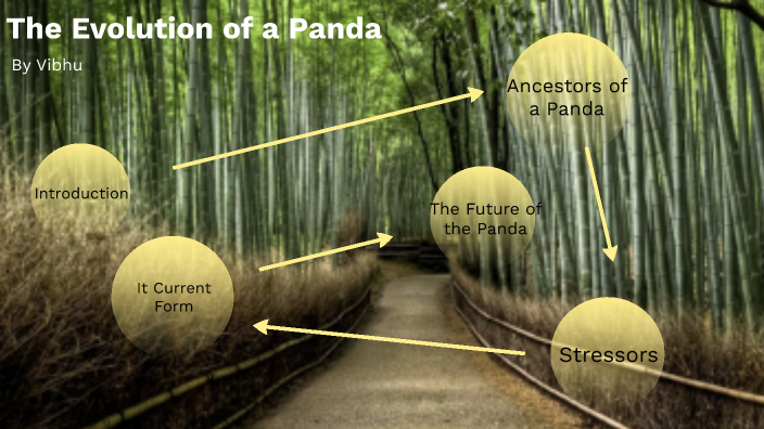 Evolution Of A Panda by Vibhu Raviprolu on Prezi