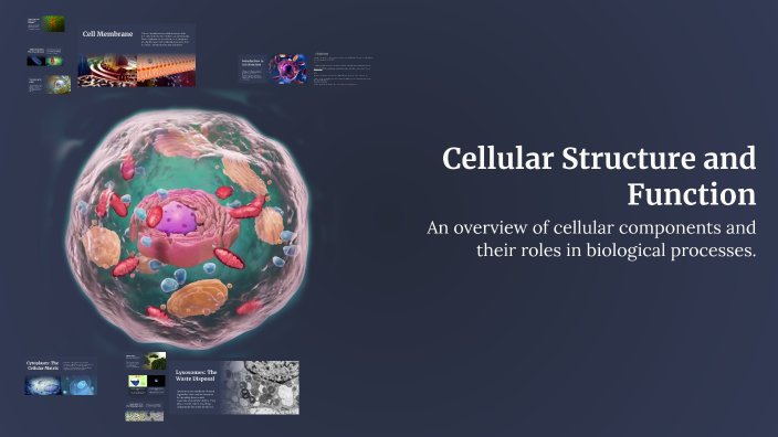 Cellular Structure and Function by robert Szymanski on Prezi