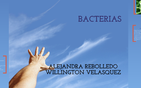 BACTERIAS by Mary Luz Matta Valderrama