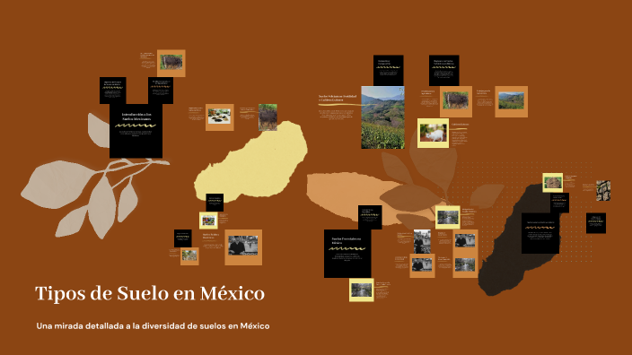Tipos de Suelo en México by ana cordova on Prezi