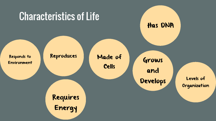 Characteristics of Life by Miriam Potratz on Prezi