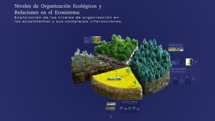 Niveles de Organización Ecológicos y Relaciones en el Ecosistema by ...