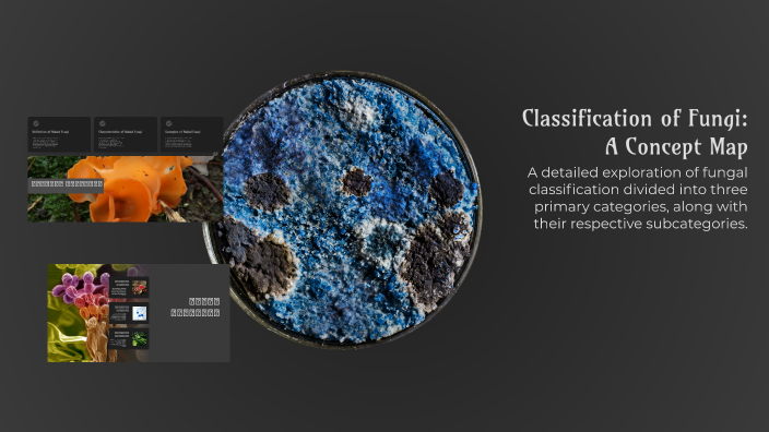 Classification of Fungi: A Concept Map by Ghallih Alanzy on Prezi