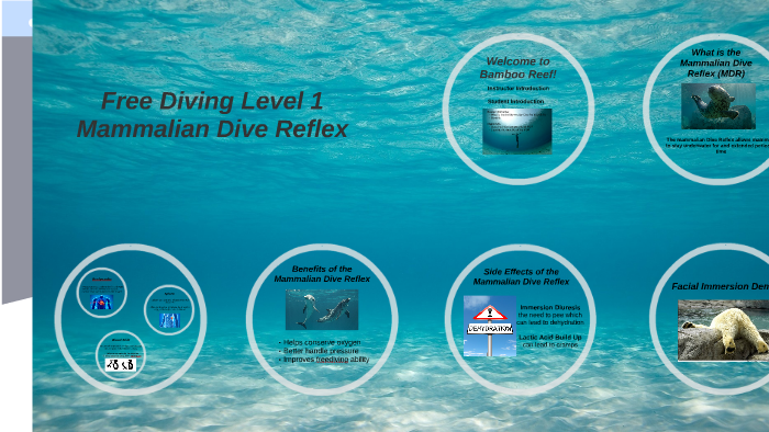 Mammalian Dive Refex by Mika Harrington on Prezi