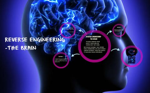 REVERSE ENGINEERING -THE BRAIN by jessica mendoza on Prezi
